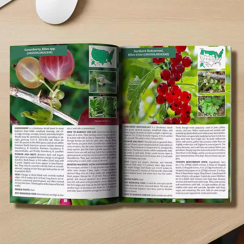 1-2 copies of *The Foragers Guide to Wild Foods*. Identifies wild edib ...