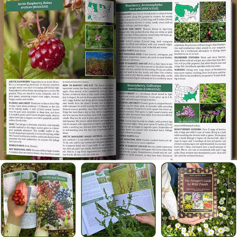 1-2 copies of *The Foragers Guide to Wild Foods*. Identifies wild edib ...